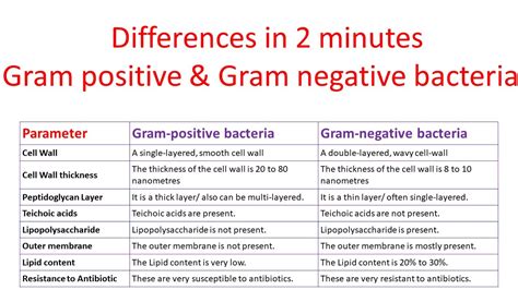 What Are The Differences Between Gram Positive And Gram Negative Images And Photos Finder