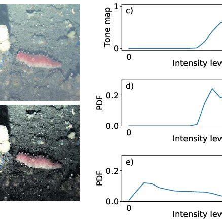 Tone Mapping Example A Input Image B Output Image C Tone Map D Download Scientific