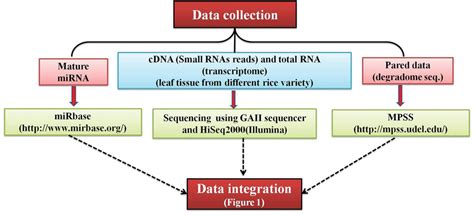 A Flow Chart Showing The Overview Of Analysis To Highlight The Scheme Download Scientific