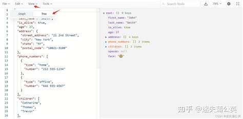 超级好用的json格式化可视化在线工具 知乎