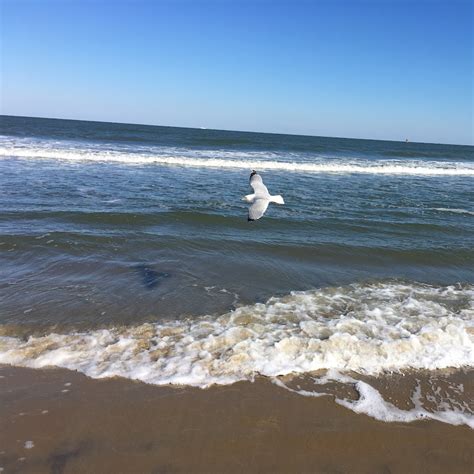 Barbara Murphy Youtube