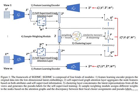 【论文阅读】深度加权多视图聚类的自监督图注意网络多视图attention聚类 Csdn博客