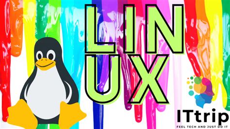 Mastering Special File Permissions In Linux Setuid Setgid And Sticky