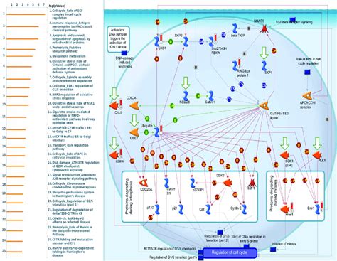Metacore Pathway Analysis Of The Coexpression Gene Network Of