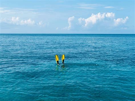 Strategic Deep Dive Assessments