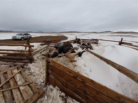 Мөнххаан сумд 2023 оны 5 дугаар сарын 19 20 өдрүүдэд болсон байгалийн гамшигт үзэгдлийн улмаас