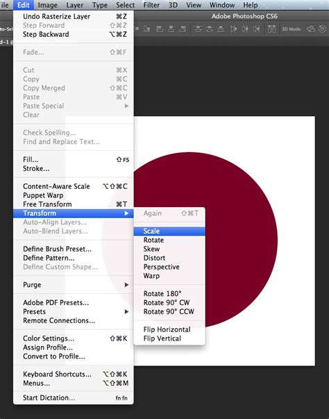 How To Resize Layer In Percentage Relative To Imag Adobe Community