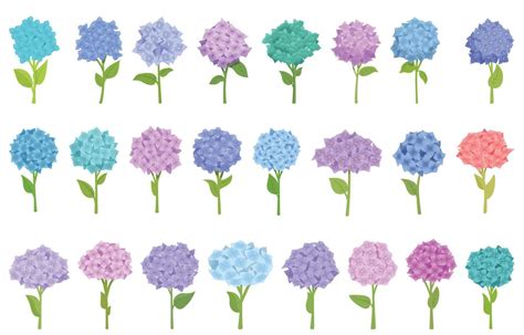 Hydrangea Icons Set Cartoon Vector Flower Summer 14317607 Vector Art