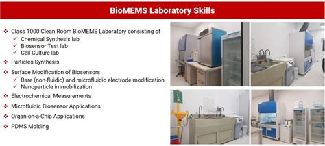 Infrastructure Metu Mems Center