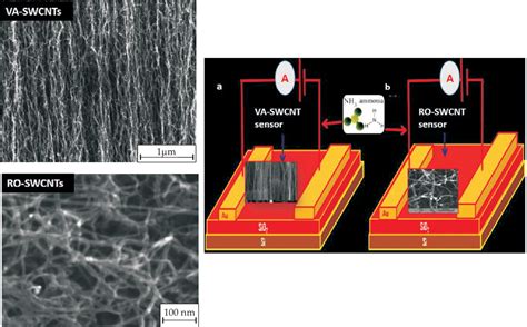 Figure 7 From Carbon Nanotubes Based Sensor For Ammonia Gas Detection An Overview Semantic