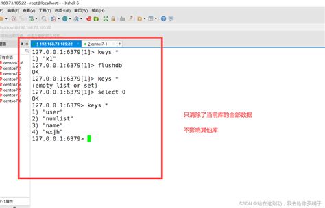 Nosql——redis的安装，配置与简单操作redis创建表 Csdn博客