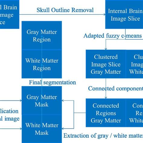 Methodology For Automatic Gray And White Matter Segmentation In Brain Download Scientific