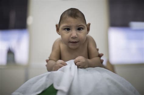 Virus Dangers Zika SARS Dengue 24 Others Could Be Transmitted Through Semen Genetic