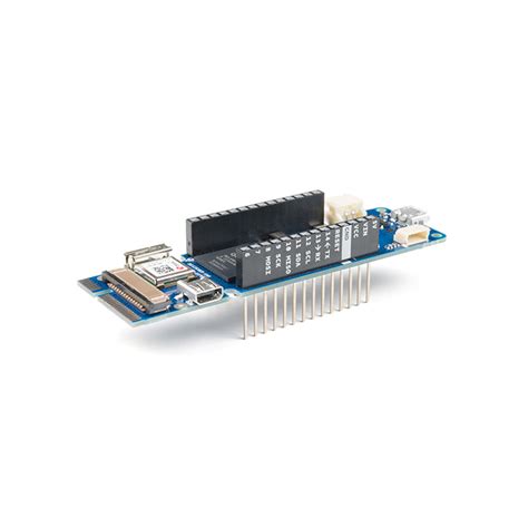 Arduino Mkr Vidor 4000 פייטל