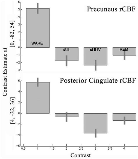 Posterior Cingulate Precuneal And Retrosplenial Cortices Cytology