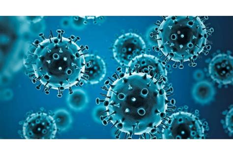 The Types Of Influenza Viruses You Need To Know About