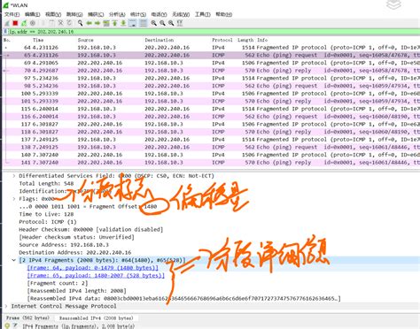动手实操 Wireshark Csdn博客