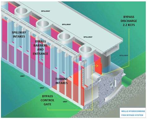 Juvenile Fish Bypass System Douglas County Pud