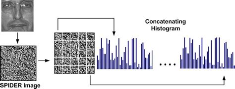 Illustration Of Spider Feature Vector Generation Process Download Scientific Diagram