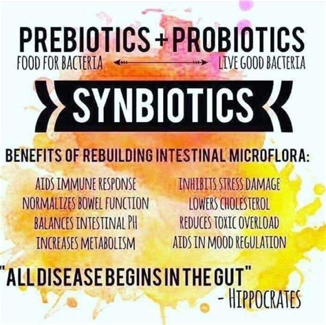 Plexus Probio5 Probiotic Plexus Products Prebiotics And Probiotics