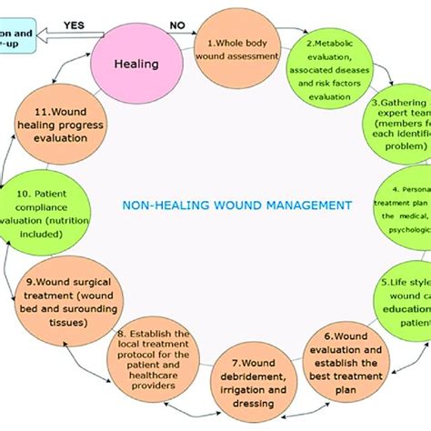 Wound Care Treatment Algorithm At Robert Connors Blog