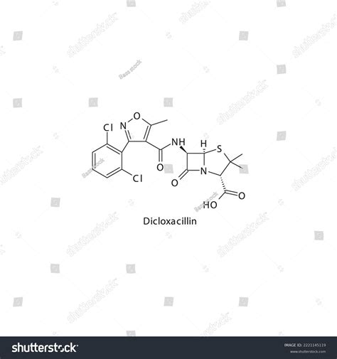 Dicloxacillin 평골격계 분자구조 페니실린 약은 박테리아 스톡 벡터 로열티 프리 2221145119 Shutterstock