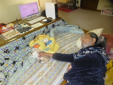 父親と娘の争い 鈴木（仮）と短期の家