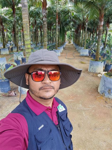 ahmad suhaimi bin dato ismail ahmad on linkedin good sized range of palms useful guidance for