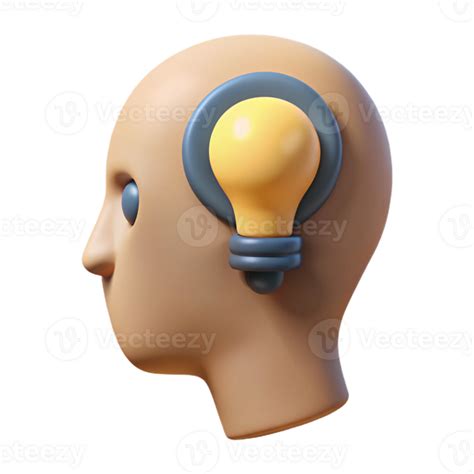 Human Head Weight