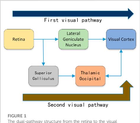Figure From DPED Bio Inspired Dual Pathway Network For Edge Detection Semantic Scholar