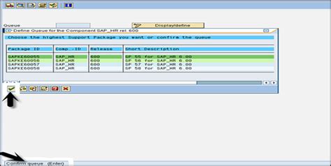 SAP Basis Importing A Queue SAP Online Guides