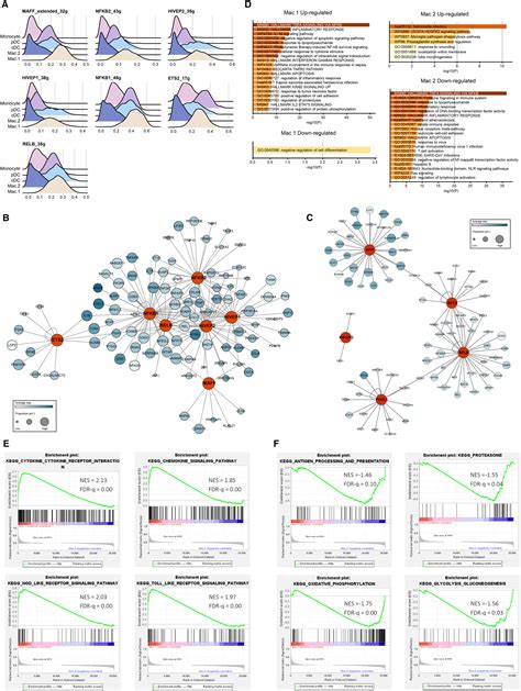 Decoding The Cell Atlas And Inflammatory Features Of Human Intracranial