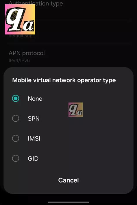 What Is MVNO Type In APN Settings Quick APN Settings
