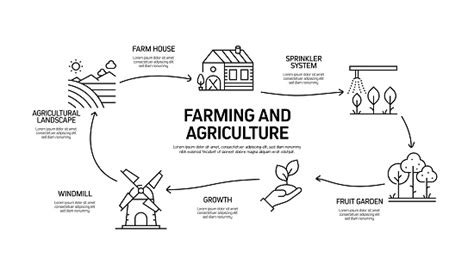 농업 및 농업 관련 프로세스 인포그래픽 템플릿 프로세스 타임라인 차트 아이콘이 있는 워크플로 레이아웃 성장 개념에 대한 스톡 벡터 아트 및 기타 이미지 Istock