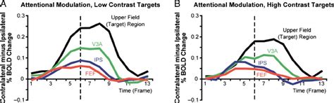 Prestimulus Onset Increases In Bold Activity In Attentional Set Download Scientific Diagram