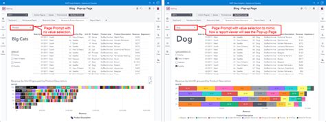 Sas Visual Analytics Pop Up Pages