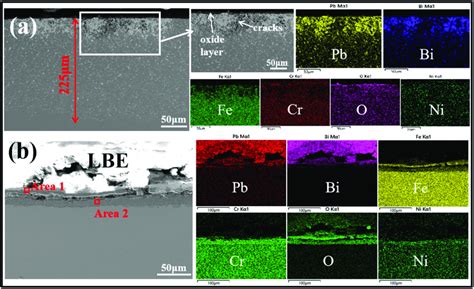Cross Sectional Microstructure And The Element Distribution For The