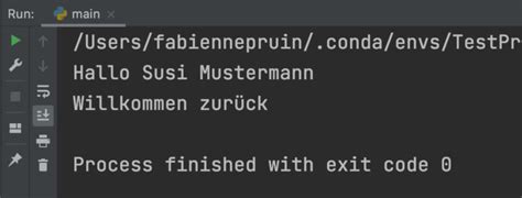 Python Funktionen mit Parametern einfach erklärt mit Video