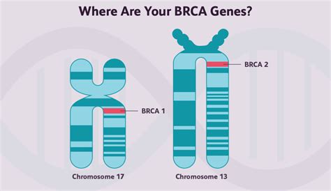 cancer risk the role of genetic testing