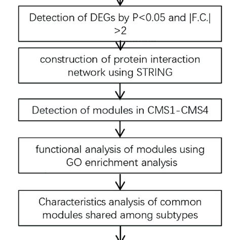 Schematic Workflow Of The Bioinformatics Pipeline Used For The Search Download Scientific