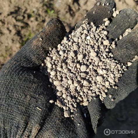 Отзыв о Органминеральное удобрение Буйские удобрения ОМУ Универсал Подходит не только для