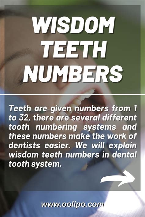 Wisdom Teeth Numbers In Dental Tooth System Explained Artofit