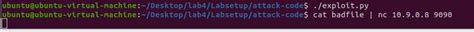 seed lab buffer overflow attack lab server version seedlab缓冲区溢出实验 csdn博客