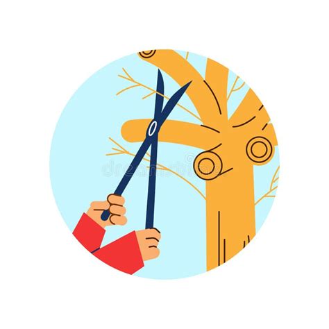 Pruning Tree Branch Stock Illustrations 808 Pruning Tree Branch Stock