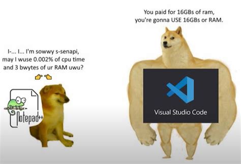 Vscode Is Reallly Bulky Sometimes Rprogrammerhumor