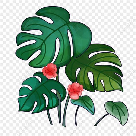 녹색 거북 대나무 일러스트 벡터 식물 초록 거북이 Png 일러스트 무료 다운로드 Lovepik