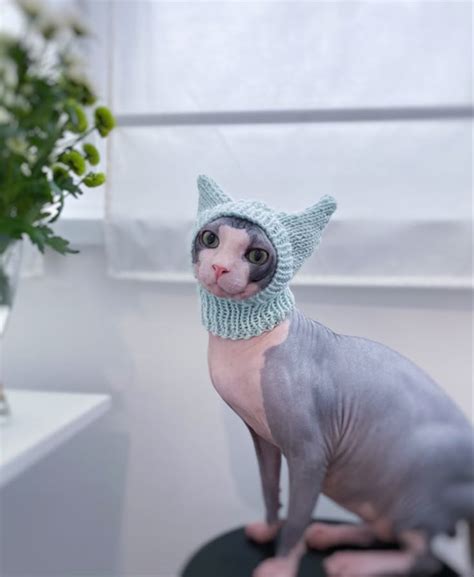 Вязаная шапка для питомца купить на Ярмарке Мастеров Nypuoru Одежда для питомцев
