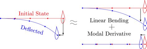 Bending Deflection Of A Straight Beam In The First Mode Shape And Its