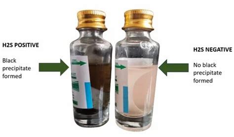 Portable H2S Water Quality Testing Kit Packaging Type Bottle At 4500 Piece In Lucknow