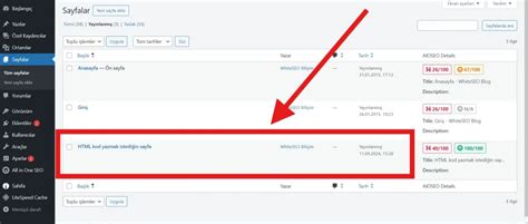 html kodları nereye yazılır whiteseo blog